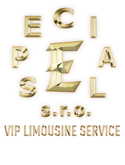 VIP LIMOUSINE SERVICE